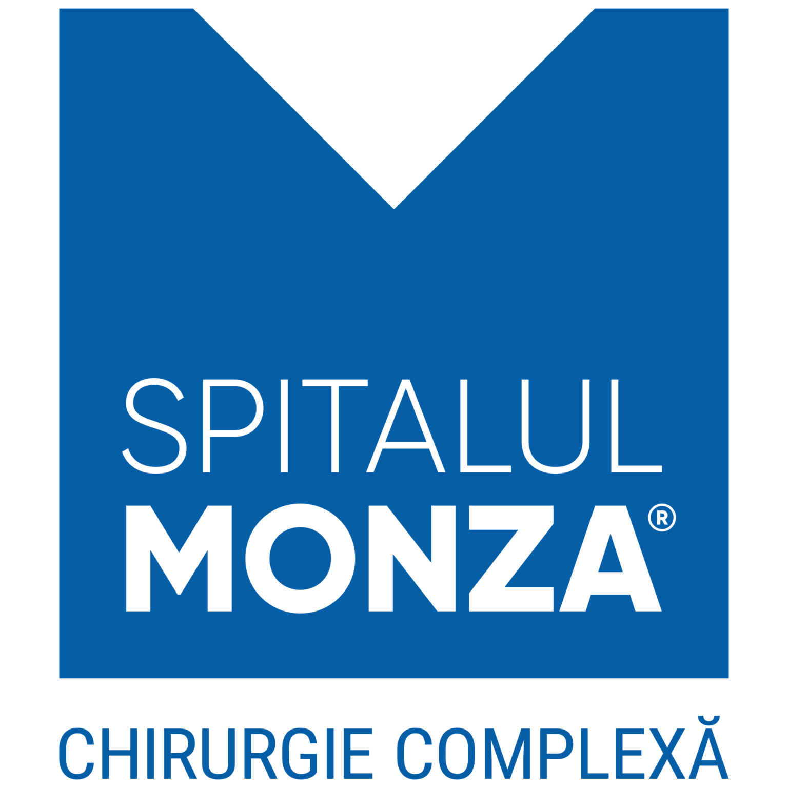 Dr. Iulia Florentina Burcea - Spitalul Monza